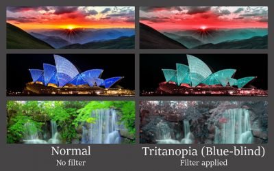 Colorblindly Color Blindness Simulator - We are Colorblind